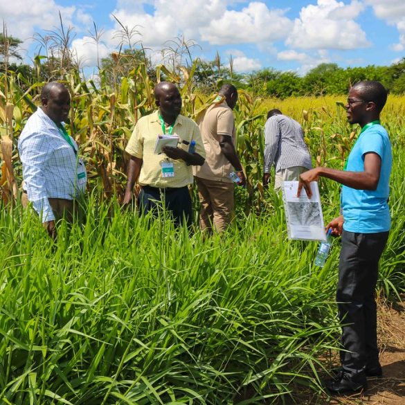 Chanco Community Radio – Let our light shine | Nyale Iwale